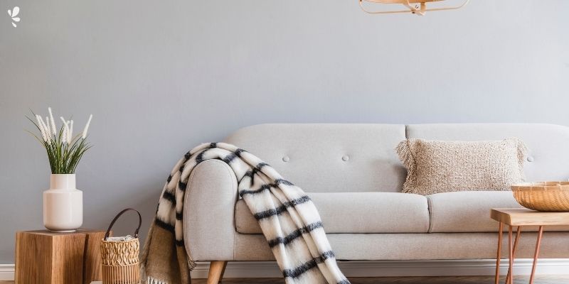 Everything you need to know about bio-based paint – Peinture Algo