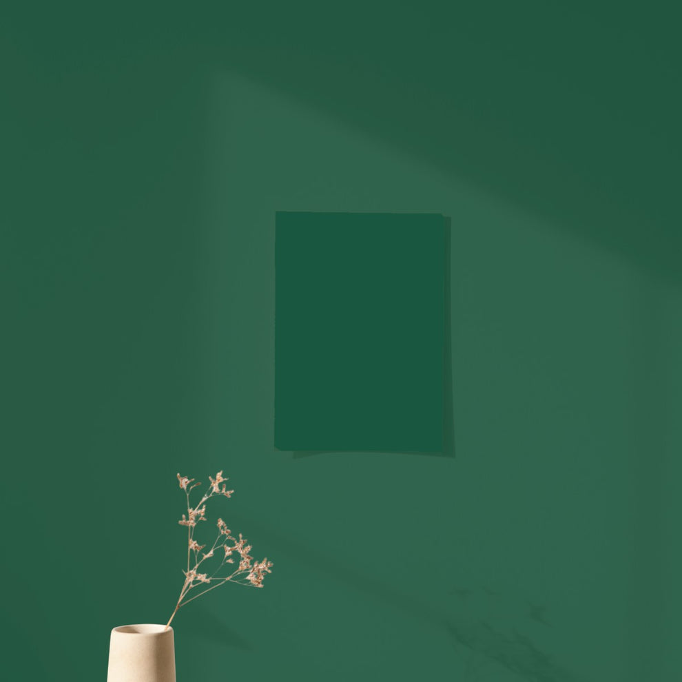 Pine Forest Green Color Chart Sample – Peinture Algo
