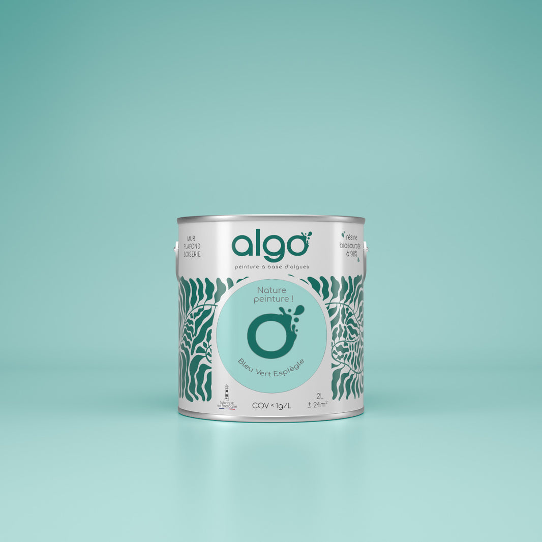peinture verte promo – Peinture Algo