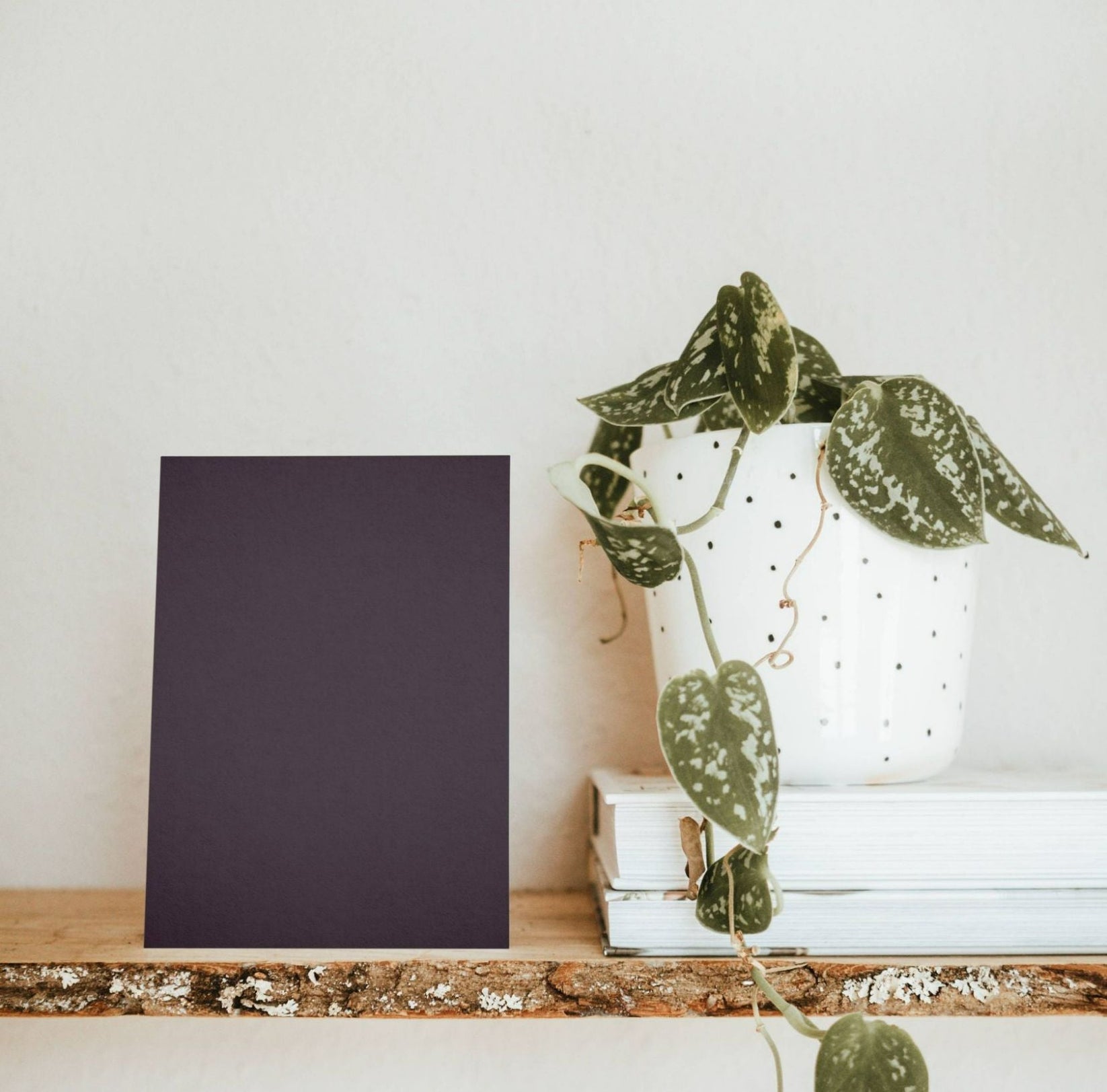 Muscat Grape Violet Color Chart Sample – Peinture Algo